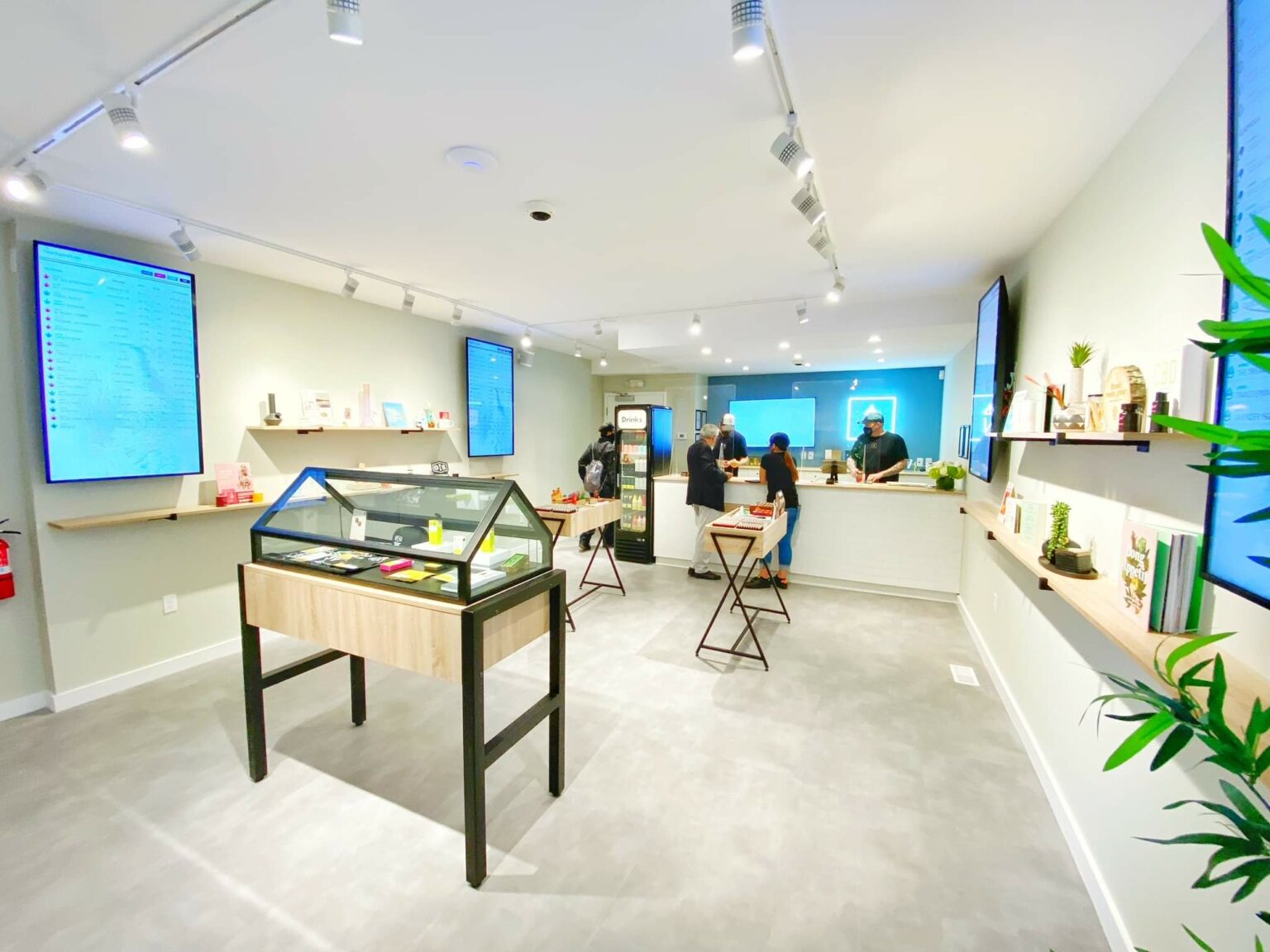 Cannabis IT Services | Cure8 | US & Canada | Dispensaries & More