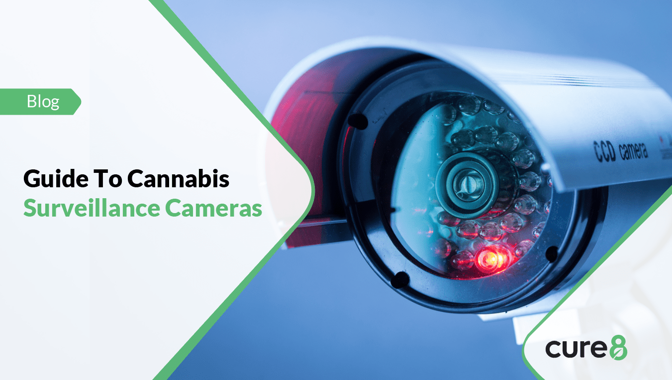 Guide To Cannabis Surveillance Cameras | Cure8