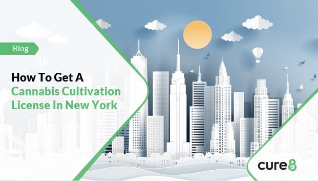 How To Get A Cannabis Cultivation License In New York - Cure8