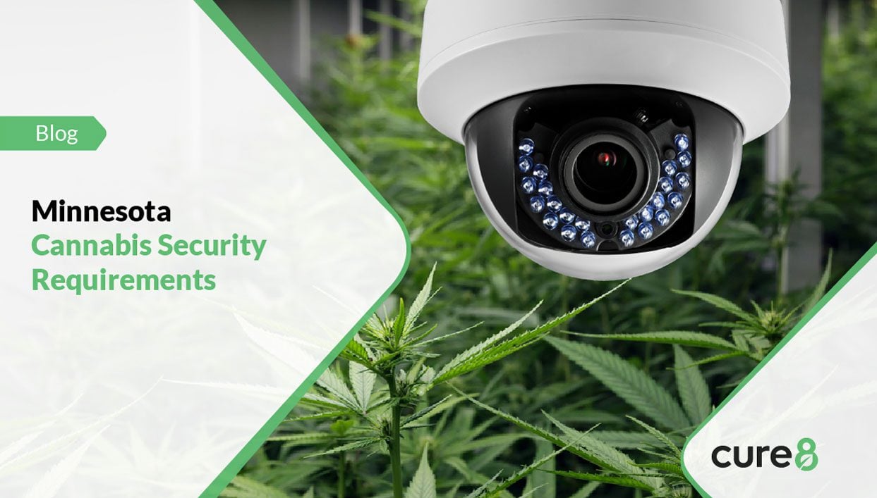 Minnesota Cannabis Security Requirements 2025 | Cure8