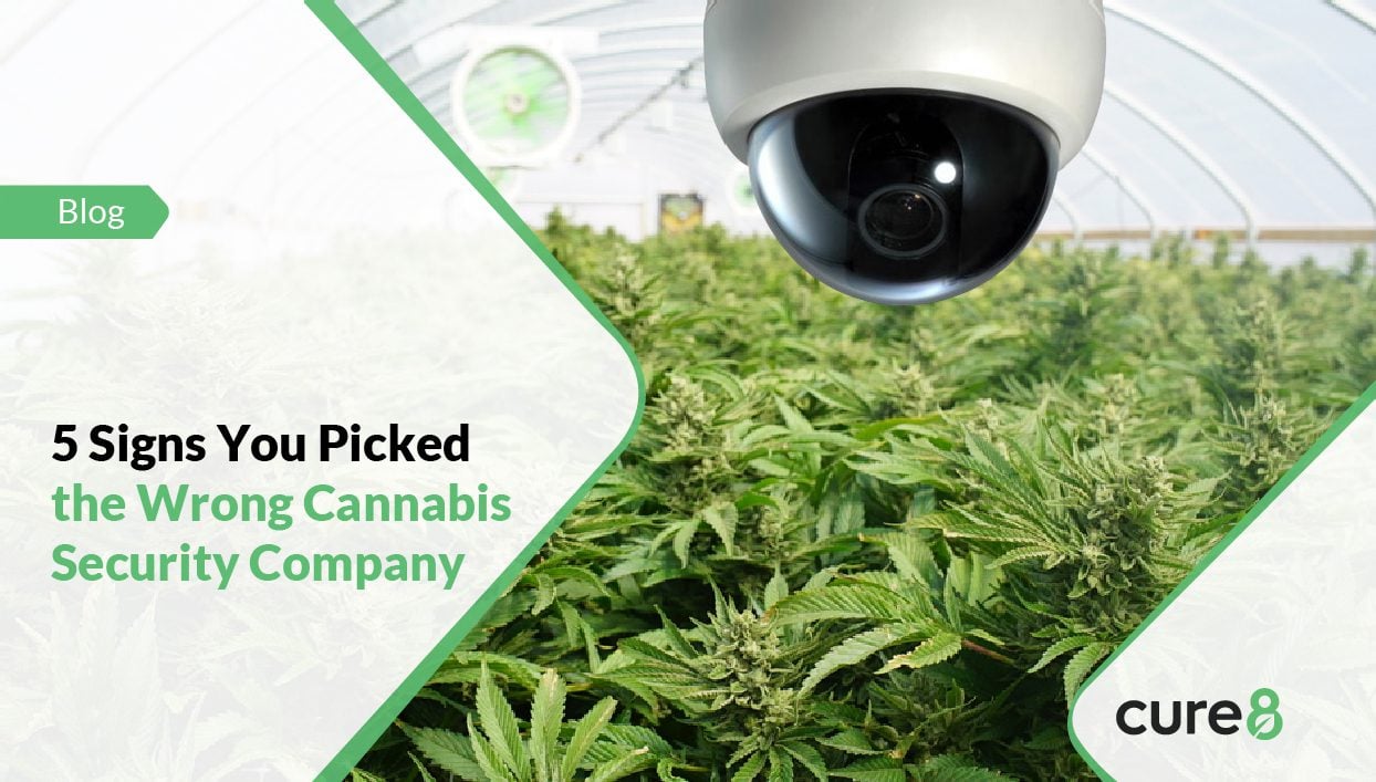 5 Signs You Picked the Wrong Cannabis Security Company | Cure8
