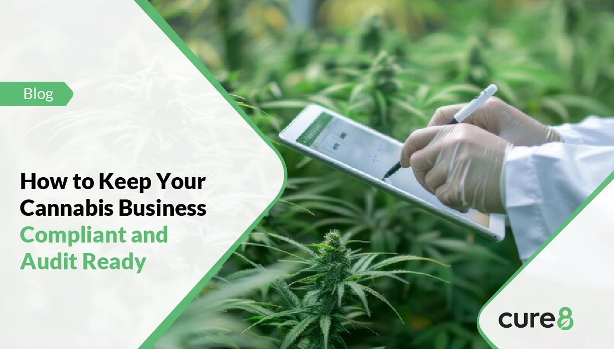 How To Keep Your Cannabis Business Compliant And Audit-Ready | Cure8