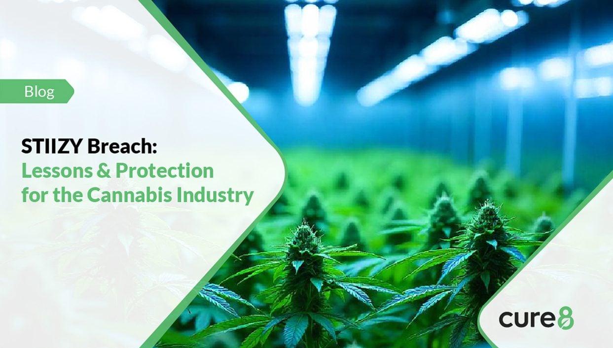 STIIZY Breach: Lessons for Cannabis Industry Cybersecurity